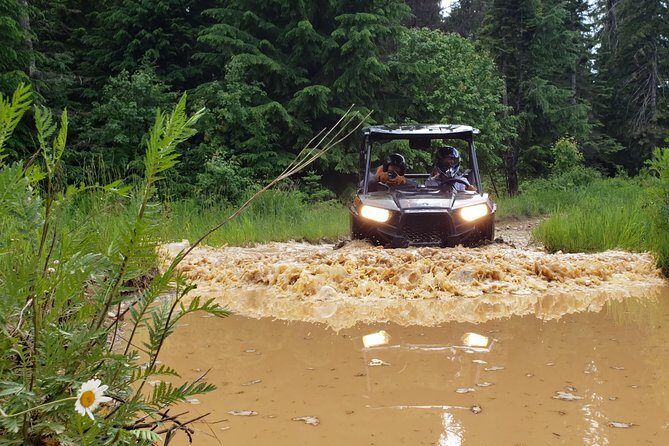 Guided Off-Road Vehicle Tours in North Idaho Forests - The Practical Side: Pricing, Booking, and Group Size