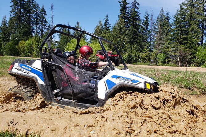 Guided Off-Road Vehicle Tours in North Idaho Forests - Authentic Experiences and Reviews