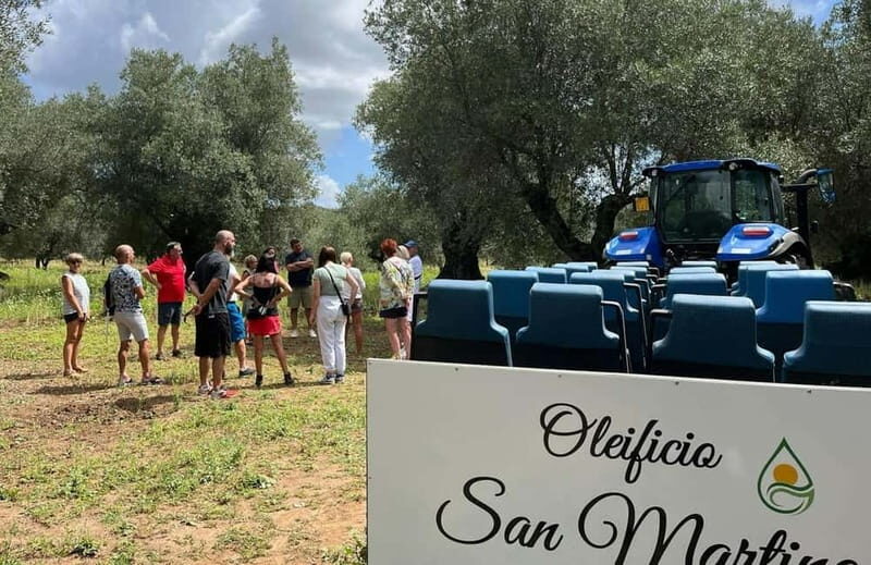 Guided Olive Oil Farm, Calabrian Lunch & Nicotera Tour - Key Points