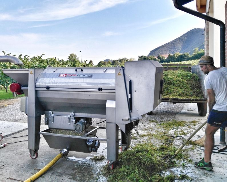 Guided Olive Oil & Wine Tour From Padua - Engaging Introduction