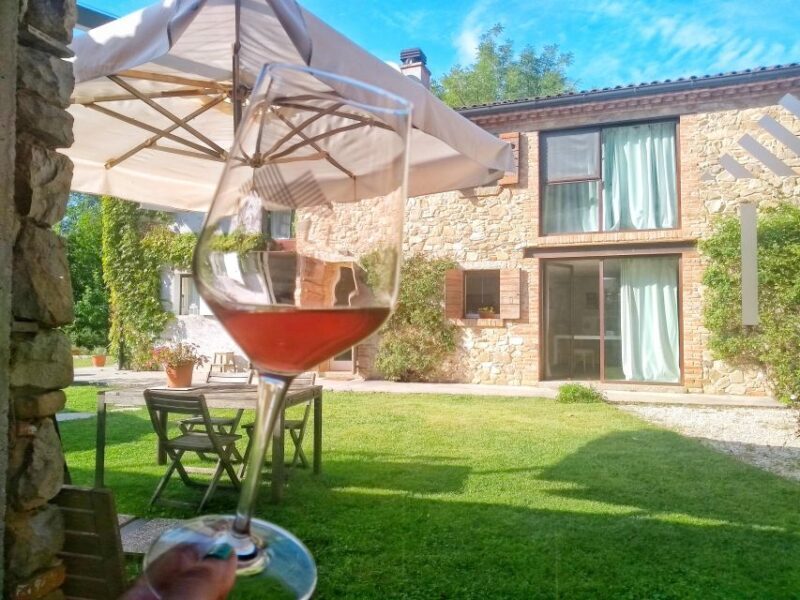 Guided Olive Oil & Wine Tour From Padua - Practicalities: What’s Included and What to Expect