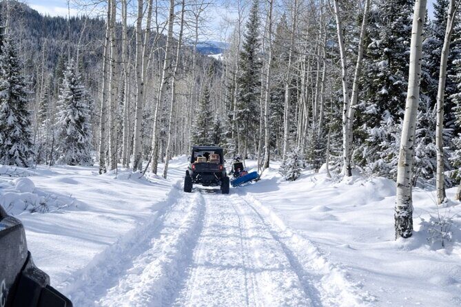 Guided On Trail Snowmobile and UTV Tours Near Rabbit Ears Pass - The Sum Up: A Scenic, Accessible Winter Adventure