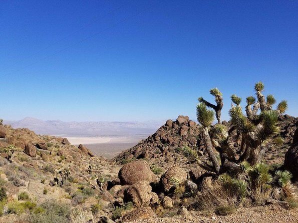 Guided or Self-Guided Road Bike Tour of Red Rock Canyon - Practical Details and Tips