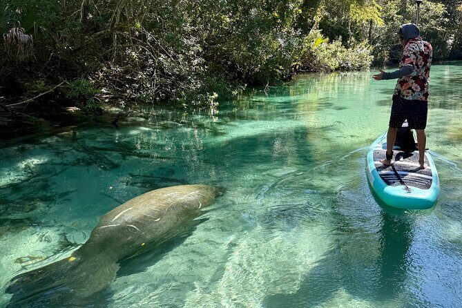 Guided Paddle and Photo Experience at Weeki Wachee Springs - The Sum Up