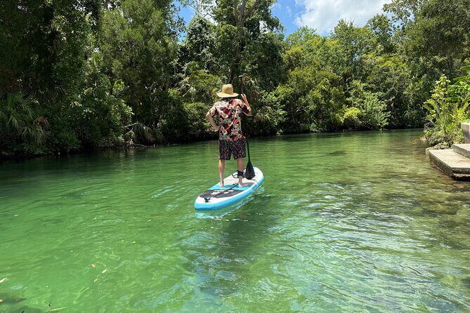 Guided Paddleboard Adventure on Weeki Wachee Springs - Introduction: A Paddleboard Tour Worth Considering