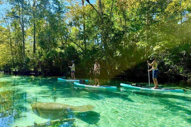 Guided Paddleboard Adventure on Weeki Wachee Springs - The Sum Up: Who Should Consider This Tour?