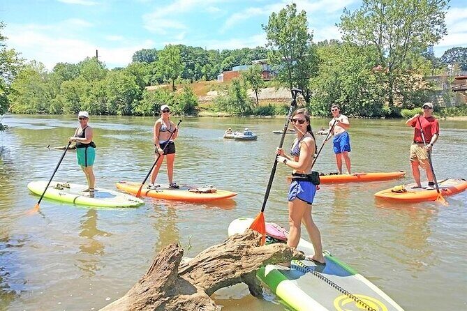 Guided Paddleboard Tour Through Asheville's River Arts District - Key Points