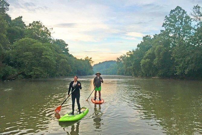 Guided Paddleboard Tour Through Asheville's River Arts District - The Guides and Their Role
