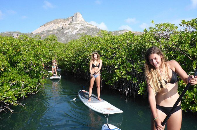 Guided paddleboarding (SUP) mangrove ECO tour for beginners - The Sum Up