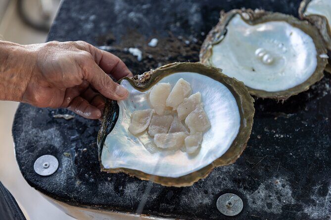 Guided Paspaley Pearl Farm Tour with Return Transfers - FAQ: Your Questions Answered