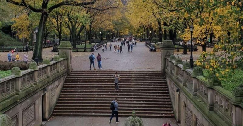 Guided Pedicab Tour in Central Park - FAQ