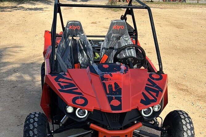 Guided Polaris Buggy Tour to Punta Cana - Who Is This Tour Best For?