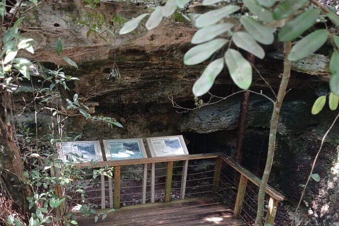 Guided Primeval Nature Walk Tour in Primeval Forest National Park - Final Thoughts