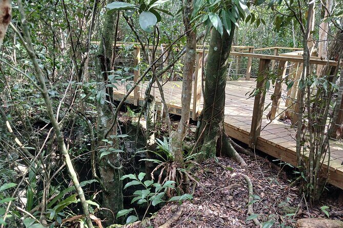 Guided Primeval Nature Walk Tour in Primeval Forest National Park - FAQs