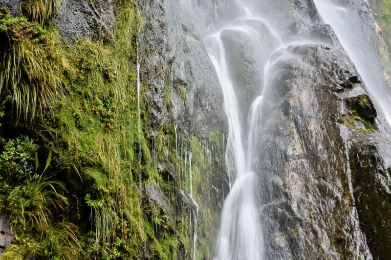 Guided Private Milford Sound Day Tour from Te Anau(Cruise In - Pricing and Value