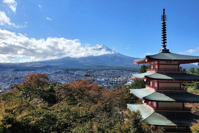 Guided Private Mt. Fuji and Hakone Tour GREEN NUMBER PLATES - An In-Depth Look at the Itinerary