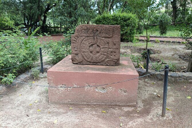 Guided Private Tour Teotihuacan,Basilica of Guadalupe,Tlatelolco - An In-Depth Look at the Itinerary and What to Expect