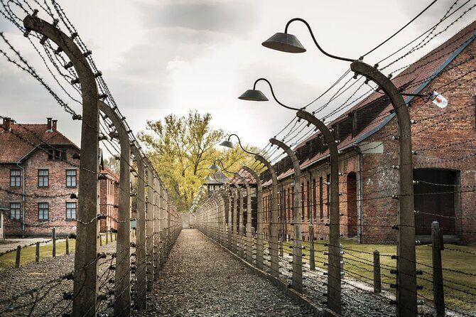 Guided Private Tour to Auschwitz Birkenau & Krakow from Wroclaw - Who Will Love This Tour?