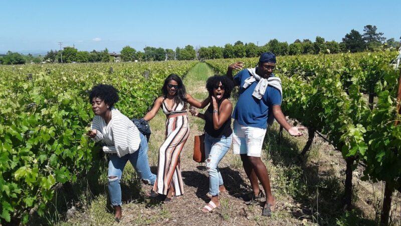 Guided Private Wine Tour to Napa and Sonoma Wine Country - Authentic Experiences Highlighted by Travelers