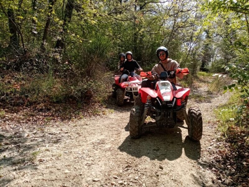 Guided quad tour with aperitif in the wood - Introduction: What Makes This Quad Tour Stand Out?