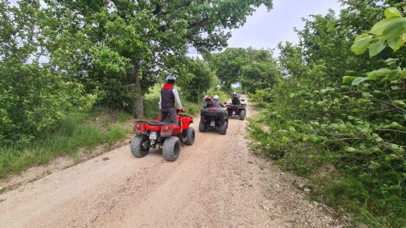 Guided quad tour with aperitif in the wood - Including Safety, Guidance, and Local Flavor