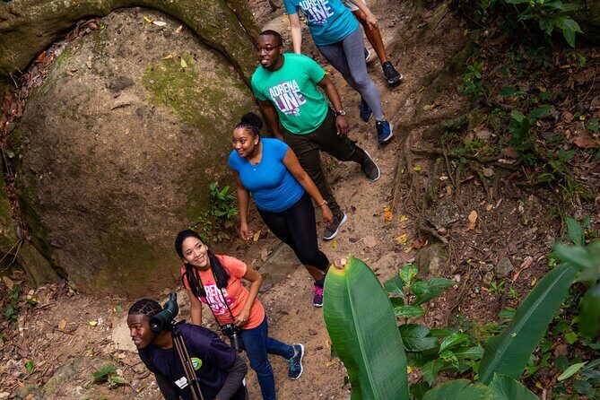 Guided Rainforest Hike on the Jacquot Trail  Castries, St Lucia - A Closer Look at the Jacquot Trail Rainforest Hike