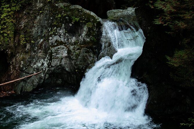 Guided Rainforest & Suspension Bridge Private Hike - The suspension bridge over a canyon and waterfalls