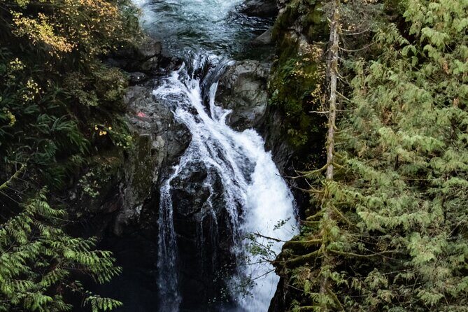 Guided Rainforest & Suspension Bridge Private Hike - Wrapping up at a cozy coffee shop