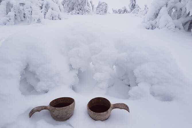 Guided reindeer farm visit and one hour sledge safari - FAQs