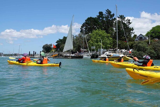 Guided Riverhead Tavern Kayak Tour in Auckland - Introduction: Why This Tour Might Be Perfect for Your Auckland Visit