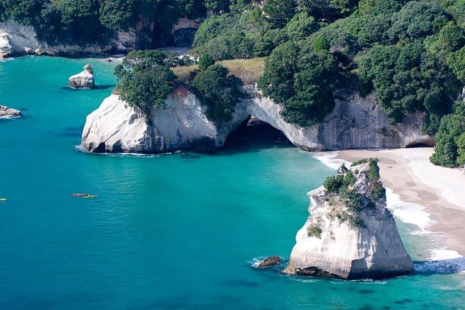 Guided Riverhead Tavern Kayak Tour in Auckland - Authenticity and Experience Quality