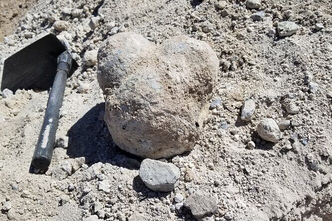 Guided Rock Collecting Tour with a Geologist near Salt Lake City - Transportation and Convenience