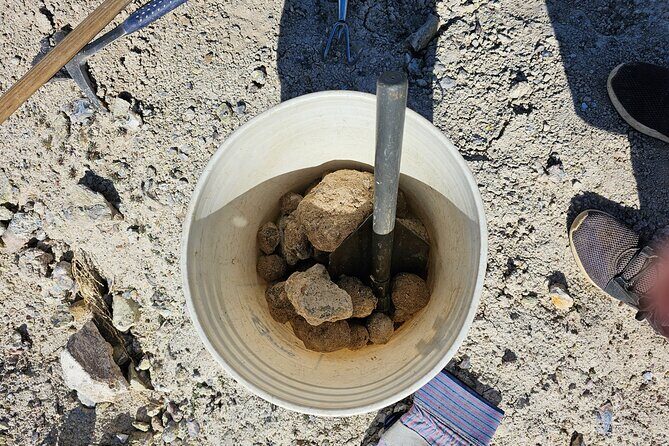 Guided Rock Collecting Tour with a Geologist near Salt Lake City - Authenticity and Overall Experience