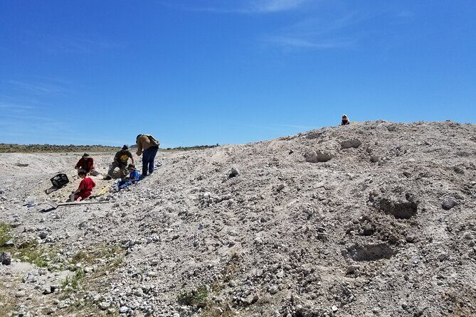 Guided Rock Collecting Tour with a Geologist near Salt Lake City - Who Should Consider This Tour