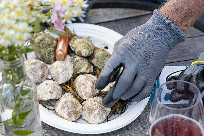 Guided Rooftop Oyster Tasting with an Oyster Sommelier - Who Should Consider This Tour?