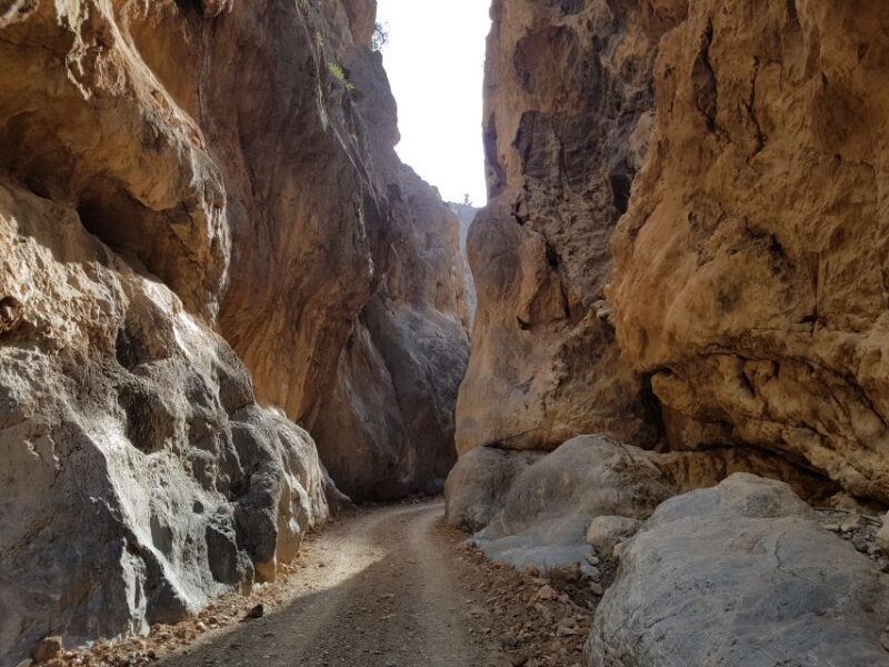 Guided Safari South Crete & Tripitis Gorge - A Deep Dive into the Guided Safari Experience