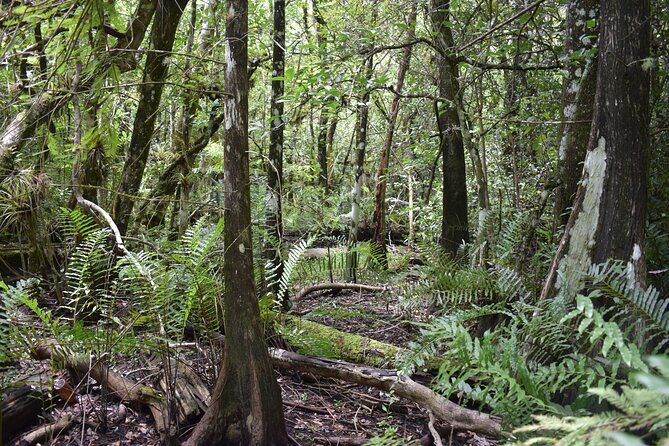 Guided Safari-Style Jeep Tour - The Sum Up