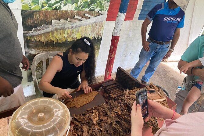 Guided Safari Tour in Punta Cana - An In-Depth Look at the Punta Cana Safari Tour