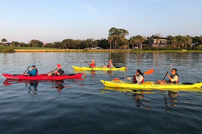 Guided Salt Marsh Kayak Tour - The Practicalities: Booking, Parking, and What to Bring