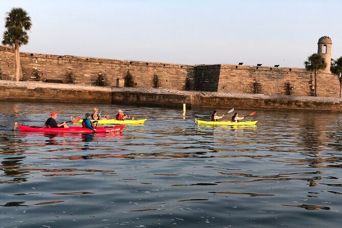 Guided Salt Marsh Kayak Tour - The Bottom Line