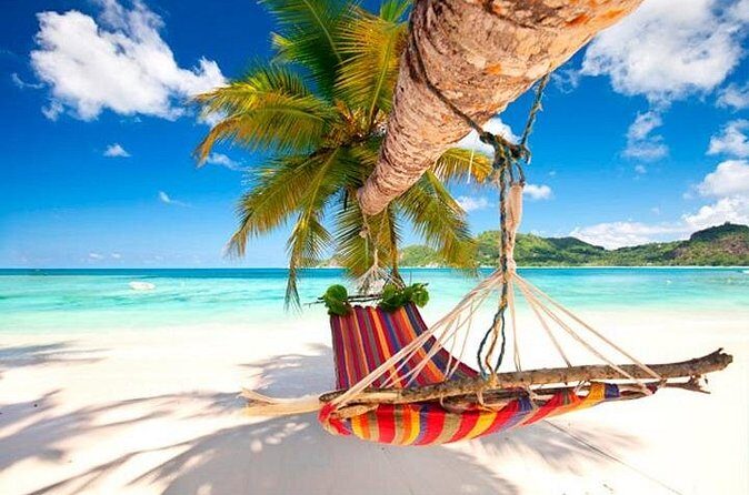 Guided Saona Island Tour in Punta Cana - Who Should Consider This Tour?