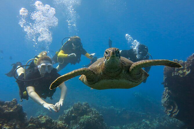 Guided Scuba Dive in Lahaina: Certified - Important FAQs