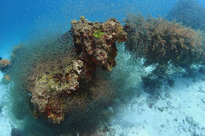 Guided Scuba Diving Day Activity at Racha Yai and Racha Noi - Who Should Consider This Tour?
