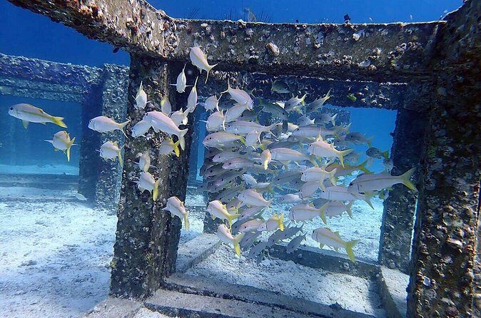 Guided Scuba Diving Day Activity at Racha Yai and Racha Noi - FAQ