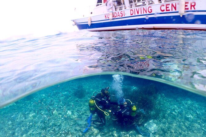 Guided Scuba Diving Experience in Kusadasi - What Makes This Experience Special