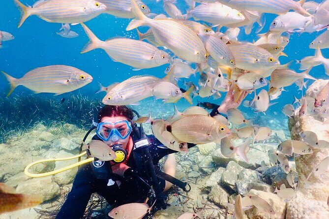 Guided Scuba Diving Experience in Kusadasi - FAQ
