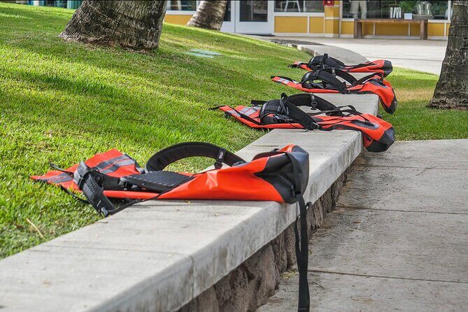 Guided Secret Falls Tour with Snacks and Drinks - The Experience from the Reviews