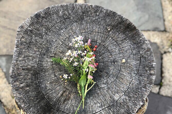 Guided Shared Group Forest Bathing Session in Serene Woodland Park - What Is Forest Bathing and Why It Matters