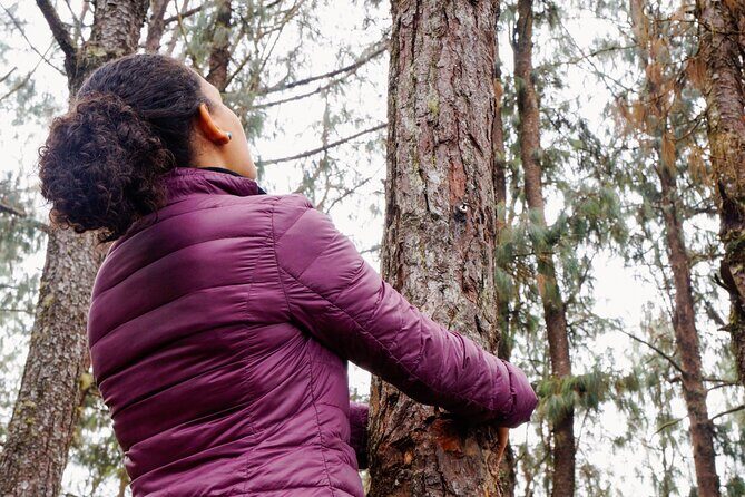 Guided Shared Group Forest Bathing Session in Serene Woodland Park - Value and Pricing
