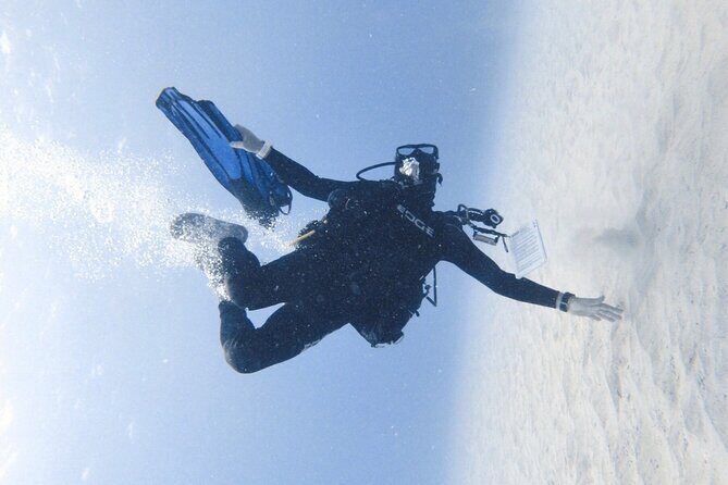 Guided Shore Dive or Refresher Dive - The Tour Itinerary: What Makes It Special